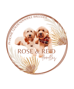 Rose and Reid Doodles Logo-12 – Rose & Reid Doodles