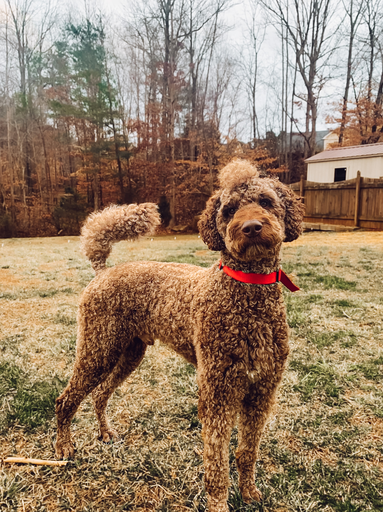 Screenshot 2023-05-16 at 9.08.57 PM – Rose & Reid Doodles